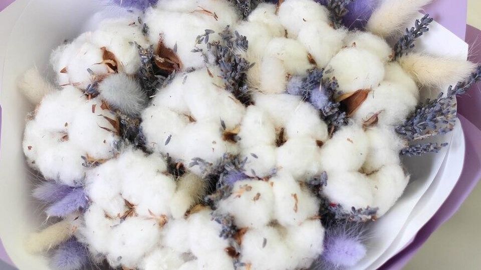 Хлопок-белое золото — Wibes